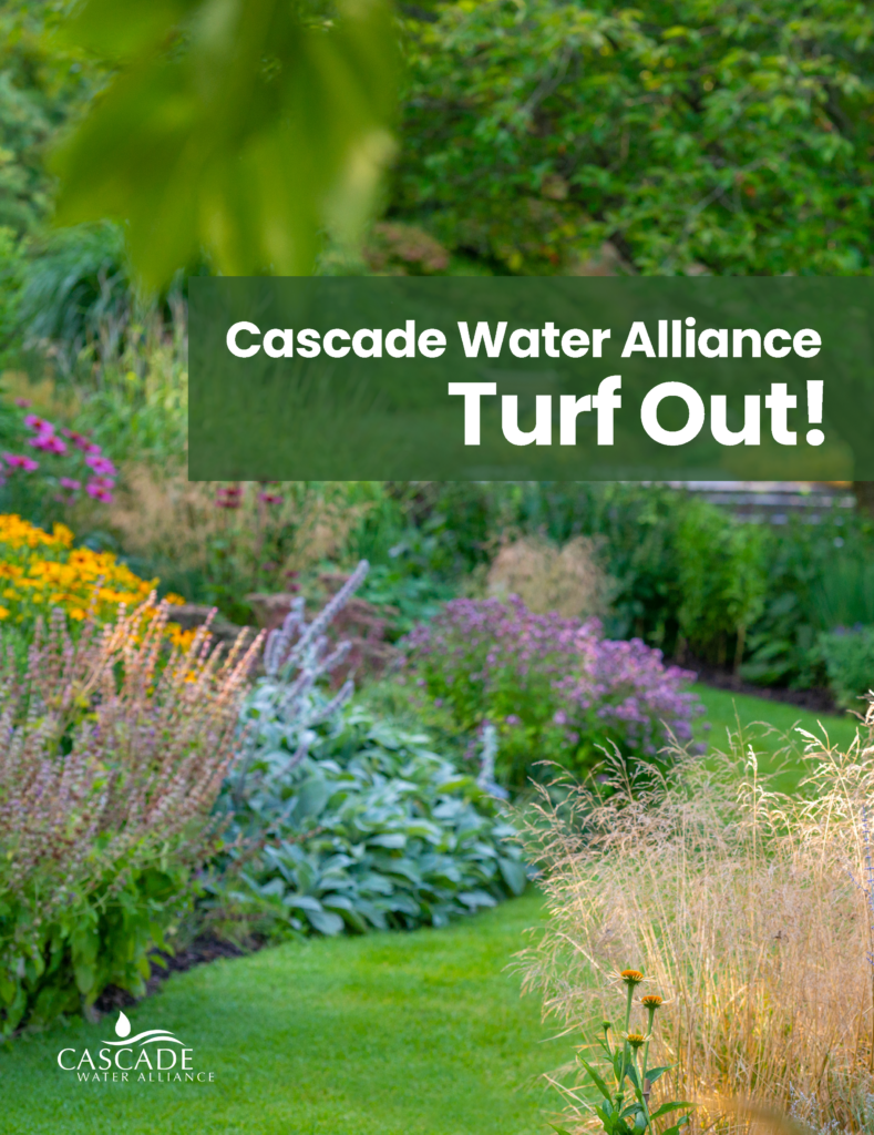 Cascade Gardener Classes - Cascade Water