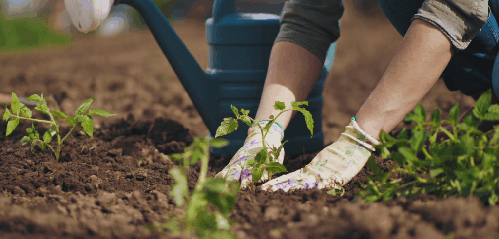 Gardeners - Cascade Water